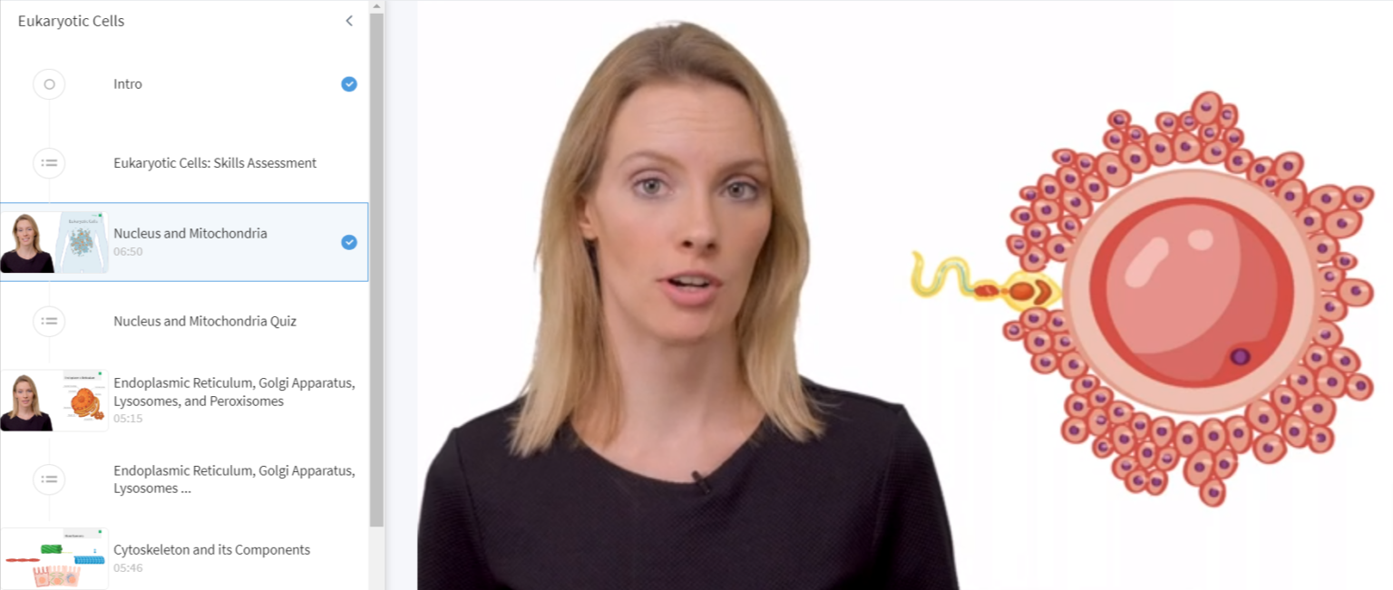 Blueprint MCAT Review 2024: Is it Really Worth the Hype? | Digital Vaults