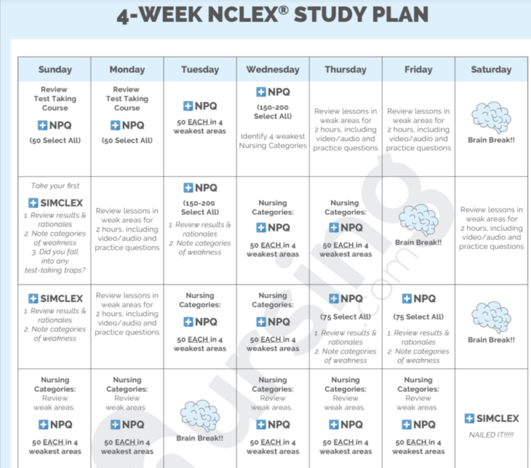 Nursing.com NCLEX Review 2023 | Digital Vaults